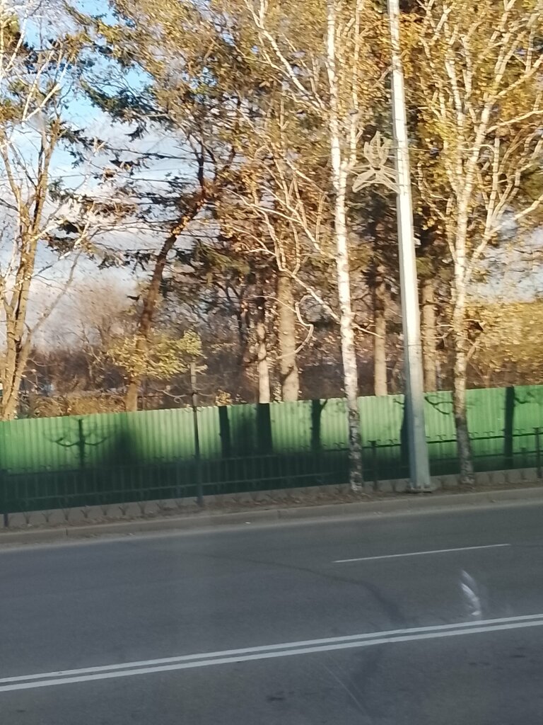 Çöp alanları Trash and garbage disposal area, Svobodniy, foto