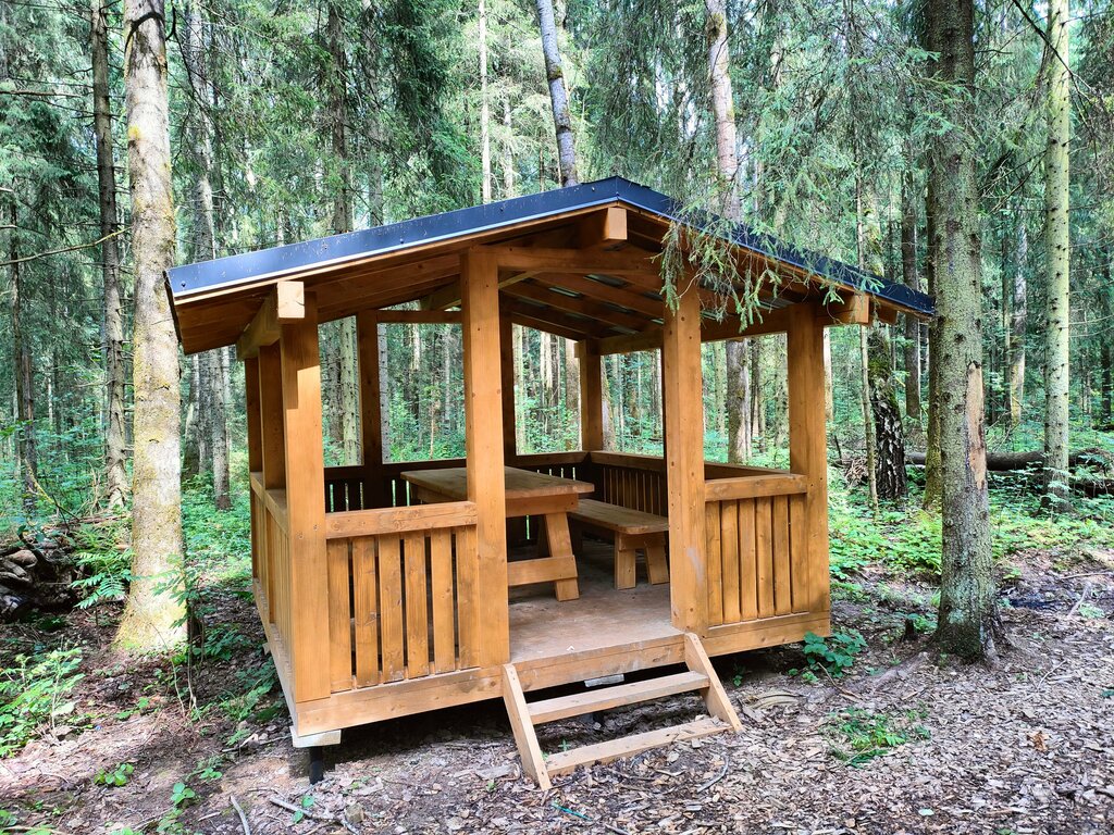 Çardak Gazebo, Vologodskaya oblastı, foto