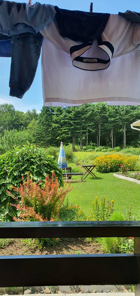 Resort oteller, tesisler Летние домики, Primoriye, foto