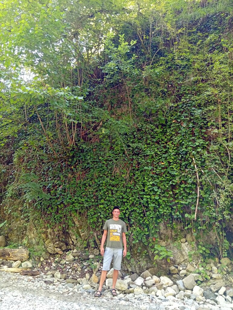 Pınar, çay Spring, stream, Krasnodarski krayı, foto