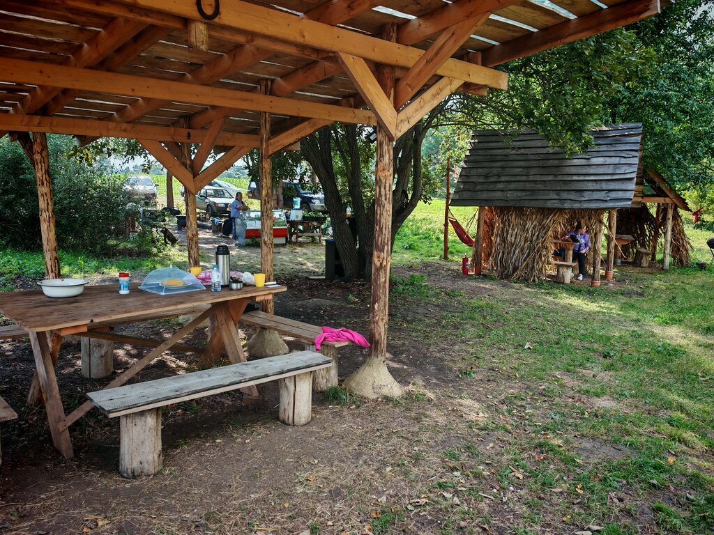 Atraksiyon Кукурузный лабиринт, Orlovskaya oblastı, foto