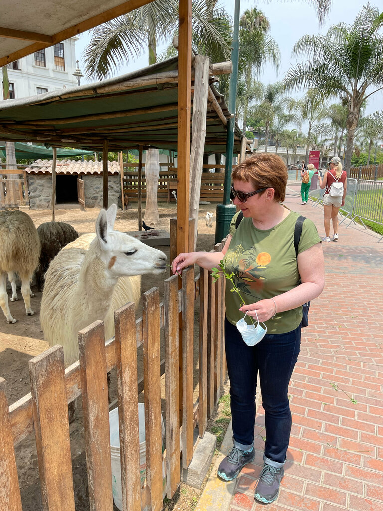 Parklar ve ormanlar La Muralla Park Cercado de Lima, Lima, foto