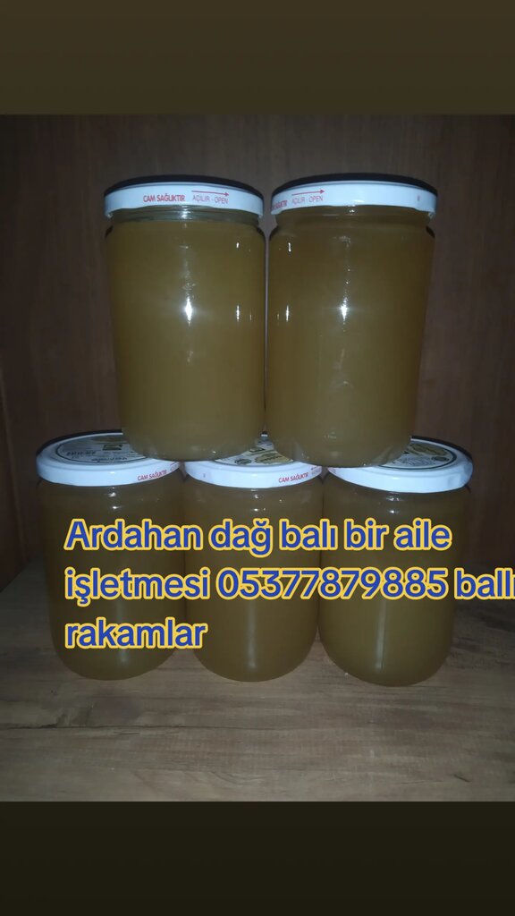 Parklar ve ormanlar Sancaktepe yürüyüş yolu, İstanbul, foto