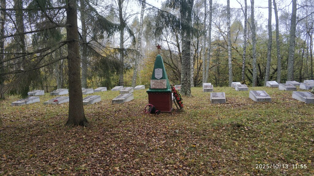 Anıt, heykel Неизвестный солдат, Vitebskaya oblastı, foto