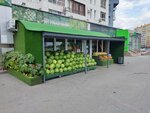 Roznichnaya set po prodazhe ovoshchey i fruktov (Bratev Kashirinykh Street No:158), manavlar  Çeliabinsk'ten
