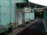 Кристалл (ulitsa 60 let Oktyabrya No:5Г), spor kulüpleri  Krasnoyarsk'tan