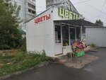 Seven Flowers (Georgiya Dimitrova Street No:95В), çiçekçiler  Samara'dan
