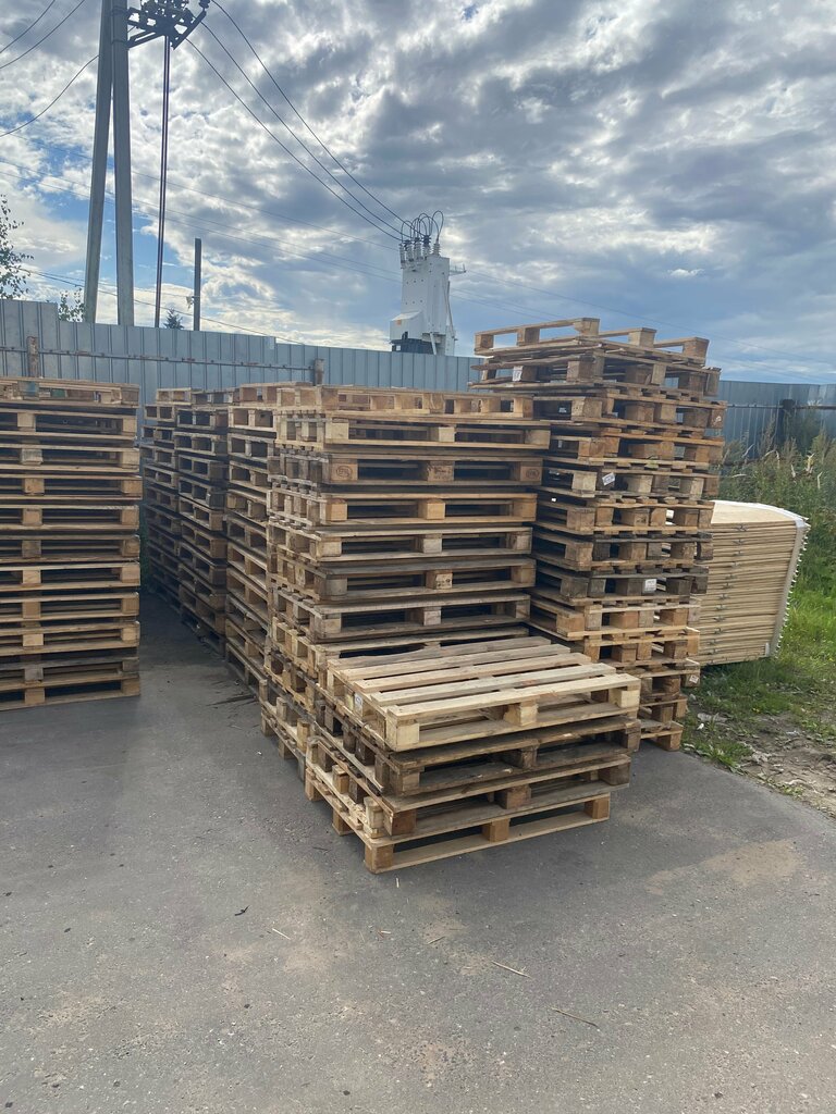 Paketleme malzemeleri firmaları Pallets, trays, Vladimirskaya oblastı, foto