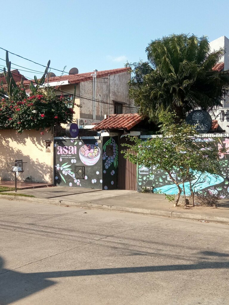Dondurmacılar Asai Shop Amazonian Pulp, Santa‑Krus, foto