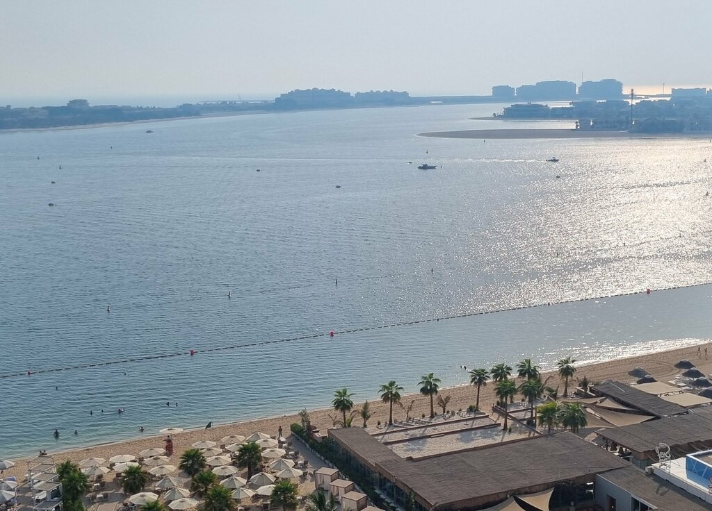 Kafe Palm, Dubai, foto