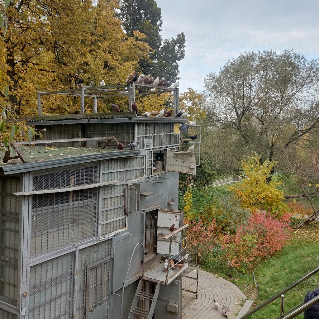 Kuşlar için büyük kafes Aviary, Moskova, foto