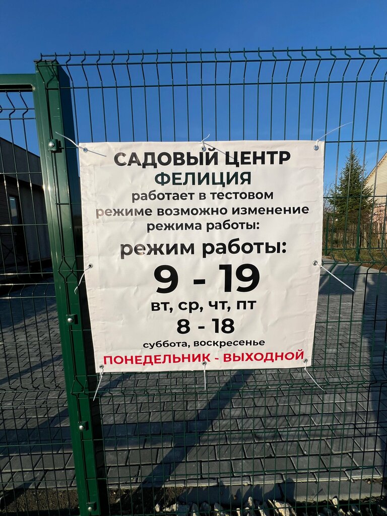 Sera ve bahçe ürünleri Feliciya, Kirovskaya oblastı, foto