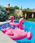 Flamingo Pool (Erkatgtsi 2nd Street No:20, Village of Argavand), yüzme havuzları  Ararat'tan