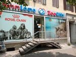 ზოოსითი • ZooCity (Vazha Pshavela avenue No:3), evcil hayvan kuaförleri  Tiflis'ten