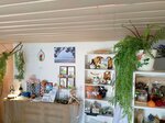 Ремесленая Лавка Кусочек Моря (ulitsa Agumava No:7), sanat galerileri ve merkezleri  Suhum'dan