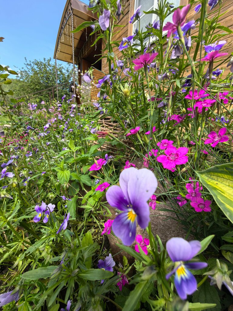 Konuk evi Гостевой дом Шушпа, Başkurdistan, foto