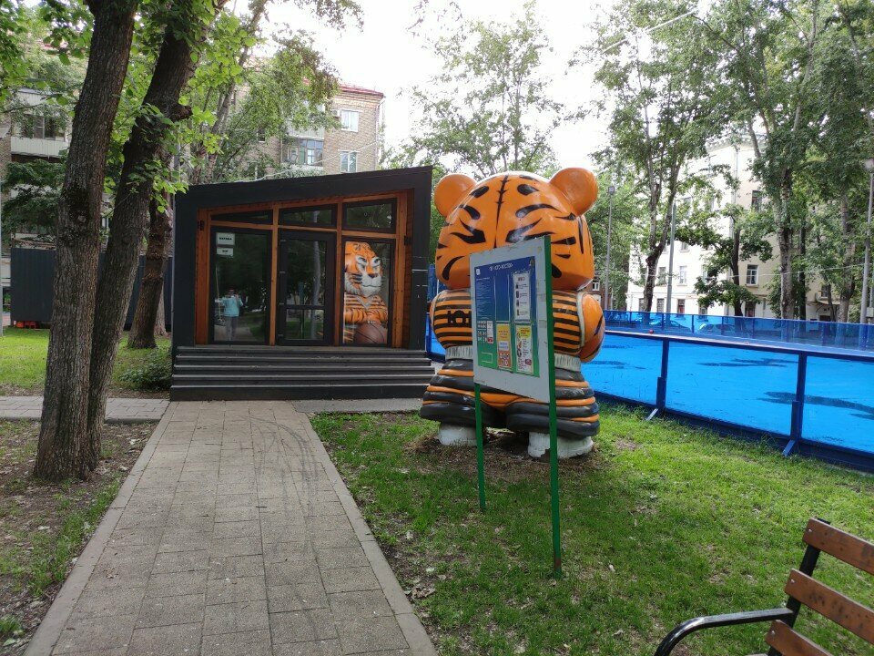 Buz pateni pistleri Ice rink, Moskova, foto