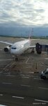 Turkish Airlines (İstanbul, Pendik, Sanayi Mah., Havaalanı İç Yolu, 1), havacılık şirketleri  İstanbul'dan