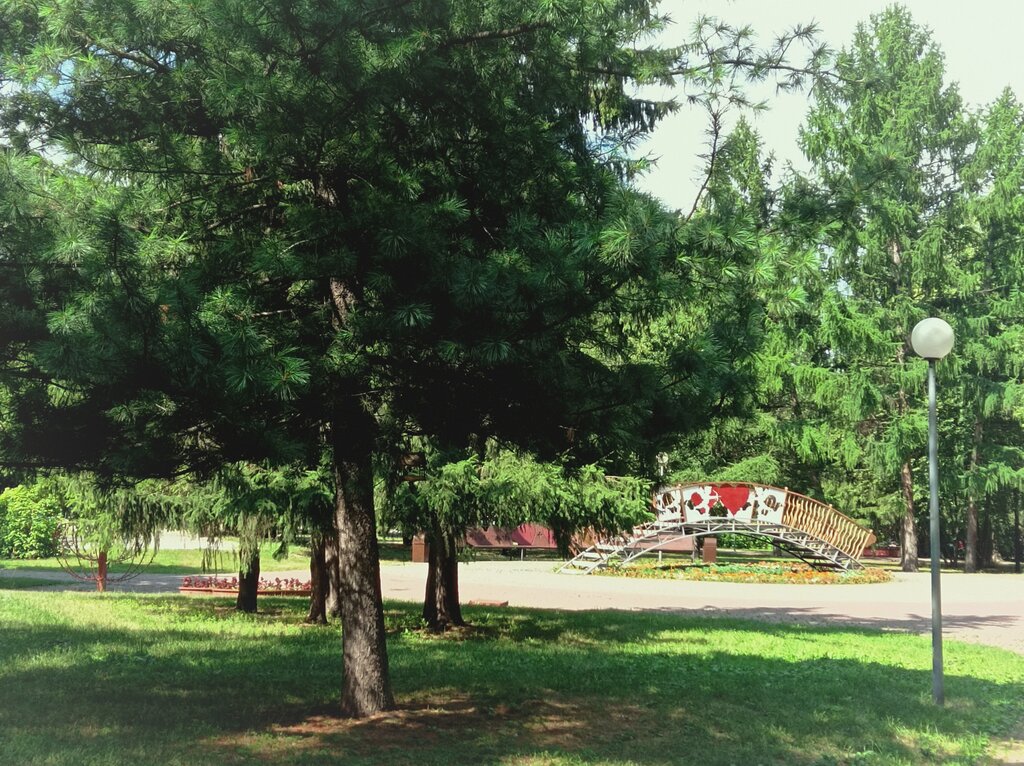 Kültür ve eğlence parkları Сквер Влюблённых, Kemerovo, foto
