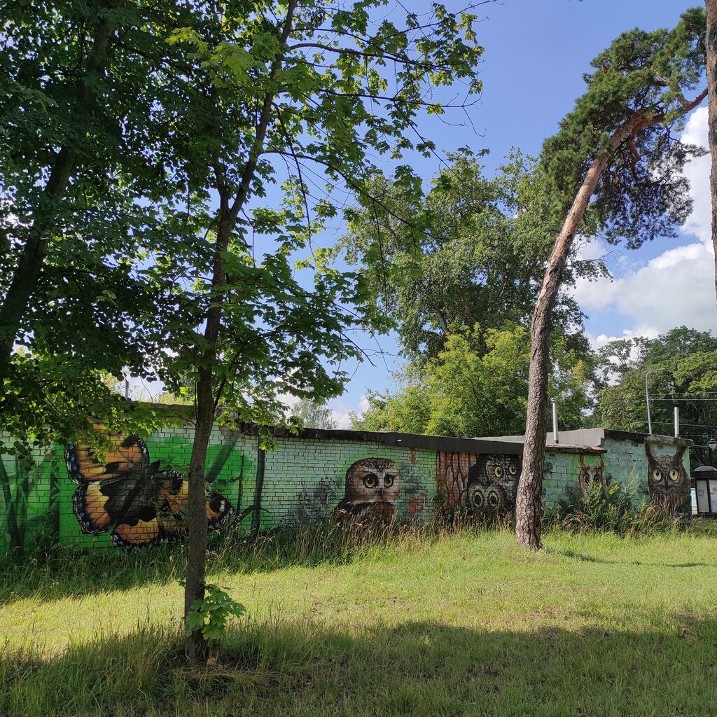 Sokak sanatı Граффити Обитатели леса, Serpuhov, foto