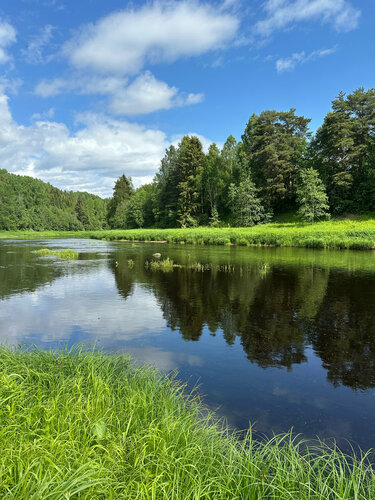 Turizm acenteleri Lesiveter, Saint‑Petersburg ve Leningradskaya oblastı, foto