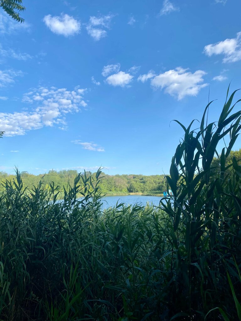 Turistik yerler Волосы медузы Горгоны, Novoçerkassk, foto