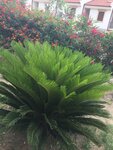 Portakal Suites Datça (Muğla, Datça, İskele Mah., Barış Cad., 23A), otel  Datça'dan