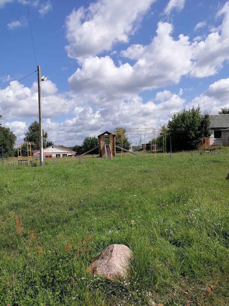 Oyun alanı Playground, Brianskaya oblastı, foto