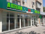 Co (Asanbay Askarov Street No:34А), eczaneler  Çimkent'ten (Şımkent'ten)
