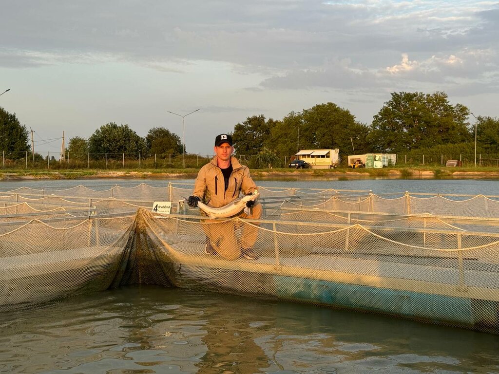 Sanayi kuruluşu Иван-Осётр, Himki, foto