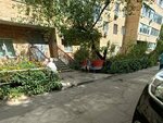 Алсер (Okeanskiy Avenue No:90), bilgisayar teknik servisleri  Vladivostok'tan