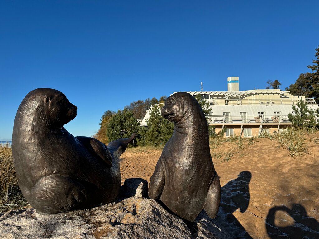 Park, sokak heykeli Балтийские нерпы, Saint‑Petersburg, foto