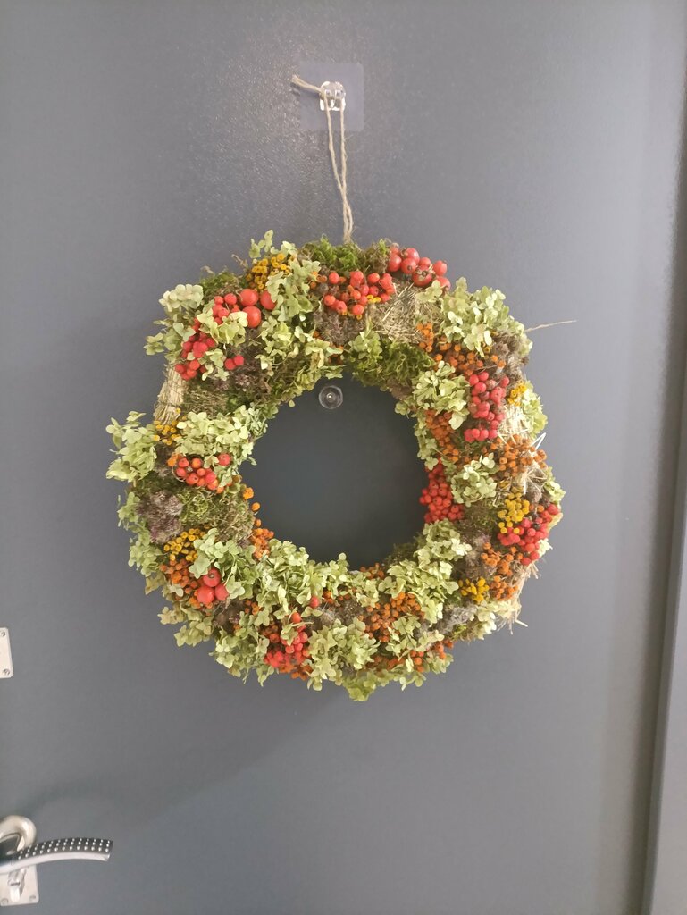 Çiçekçiler Волшебный палисадник, Moskova ve Moskovskaya oblastı, foto