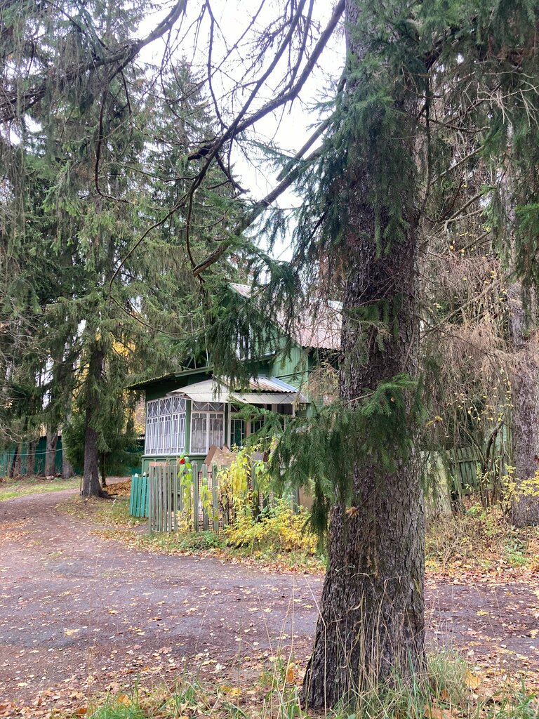 Turistik yerler Дача купца С.Н. Захарова, Zelenogorsk, foto