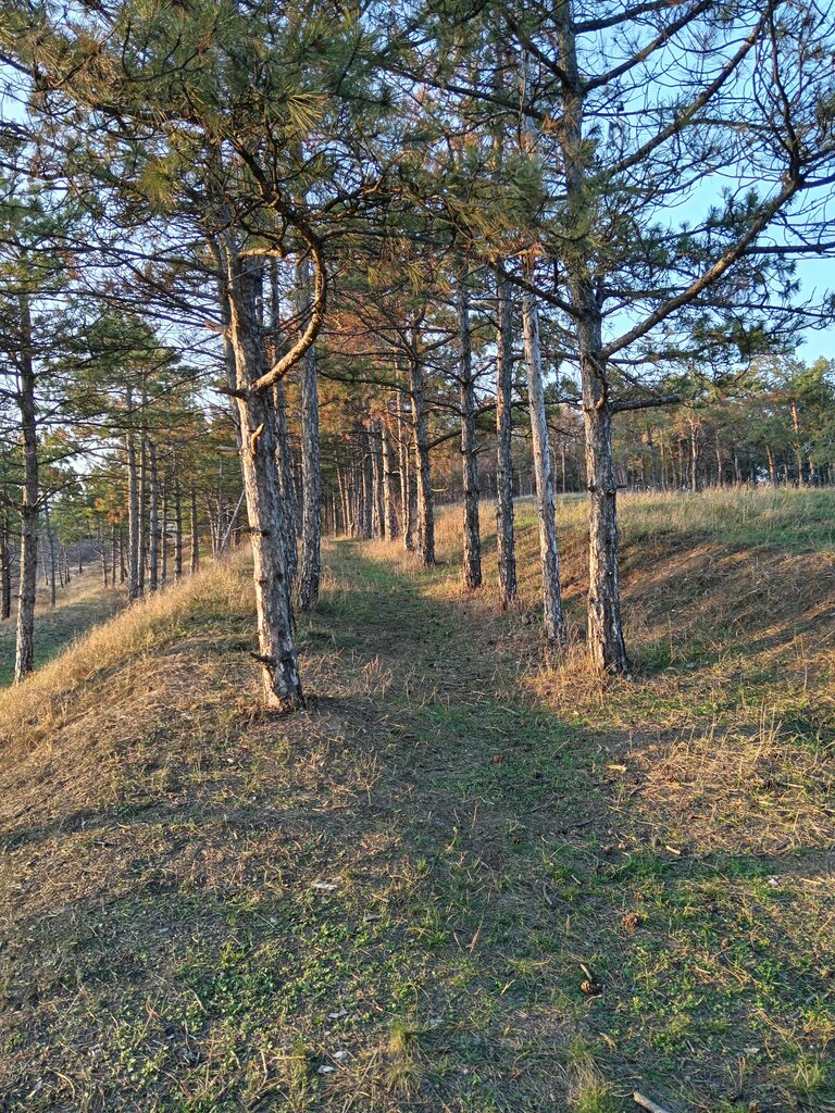 Seyir terası Смотровая площадка, Rostovskaya oblastı, foto