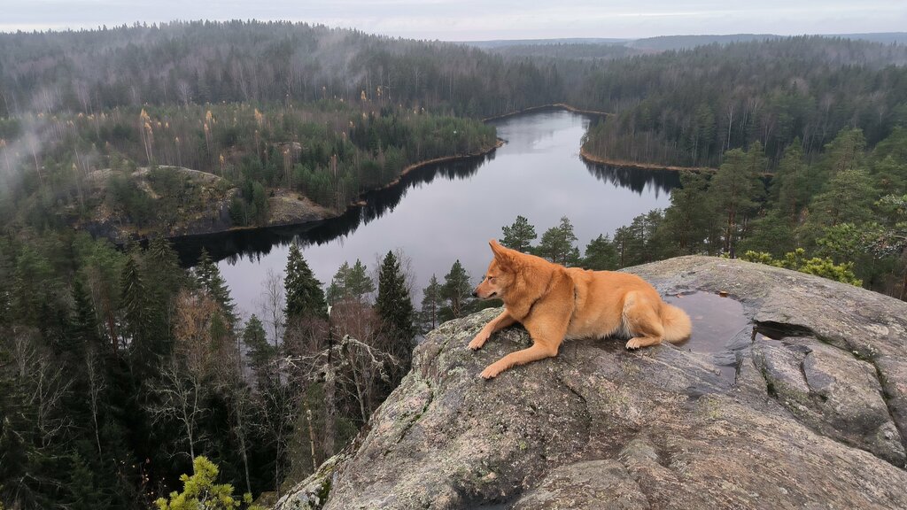 Turistik yerler Скалы у Треугольного озера, Saint‑Petersburg ve Leningradskaya oblastı, foto