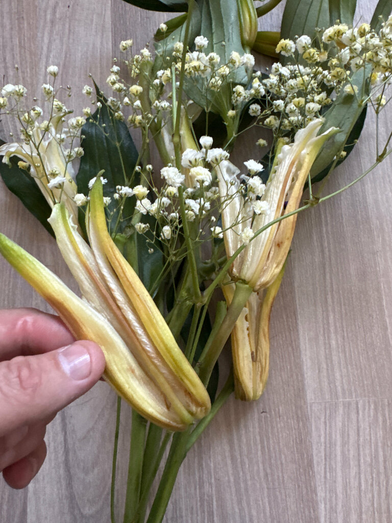 Çiçekçiler Mir tsvetov, salon, Mejdureçensk, foto