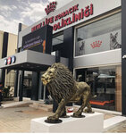 New life veteriner bodrum (Muğla, Bodrum, Çırkan Mah., Atatürk Blv., 113), veteriner klinikleri  Bodrum'dan