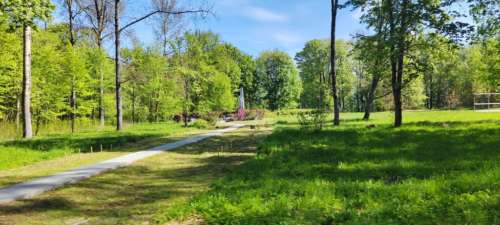 Anıt, heykel Братская могила советских воинов и партизан ВОВ, Vitebskaya oblastı, foto
