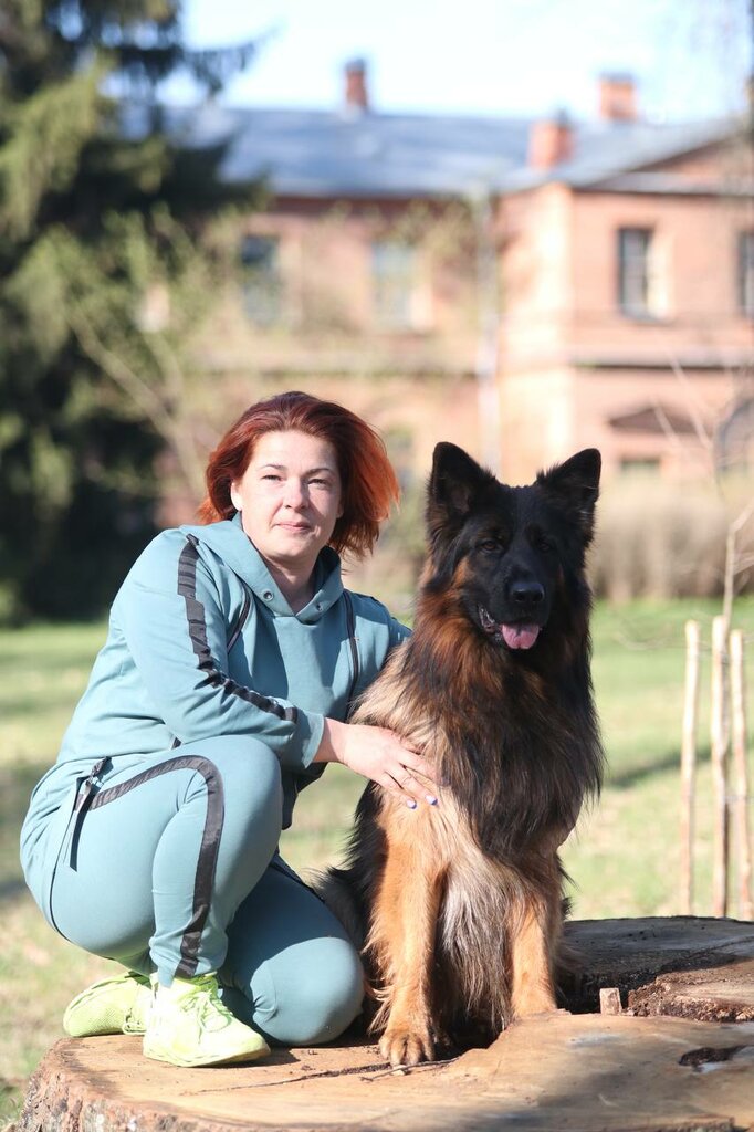 Evcil hayvan yetiştiricileri Ирендорф питомник немецких овчарок, Saint‑Petersburg ve Leningradskaya oblastı, foto