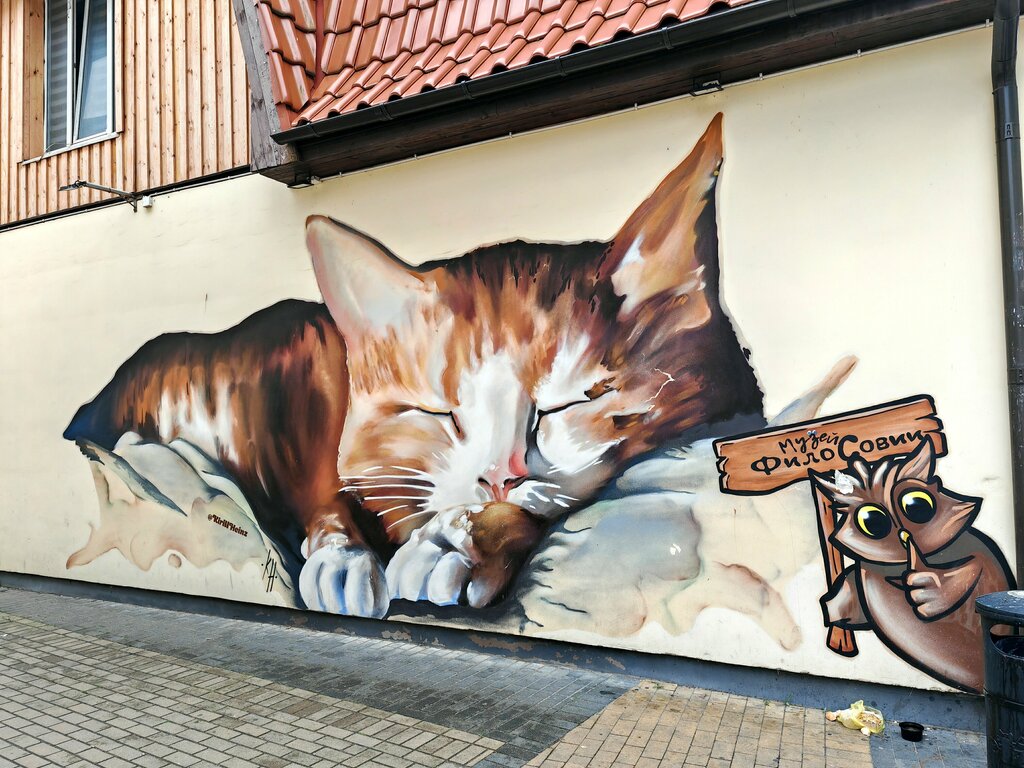 Sokak sanatı Мурал Кот-спящий, Zelenogradsk, foto