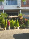 Vivero forestales y ornamentales (Santa Cruz de la Sierra, Avenida Roque Aguilera, 3040), bahçecilik mağazaları  Bolivya'dan