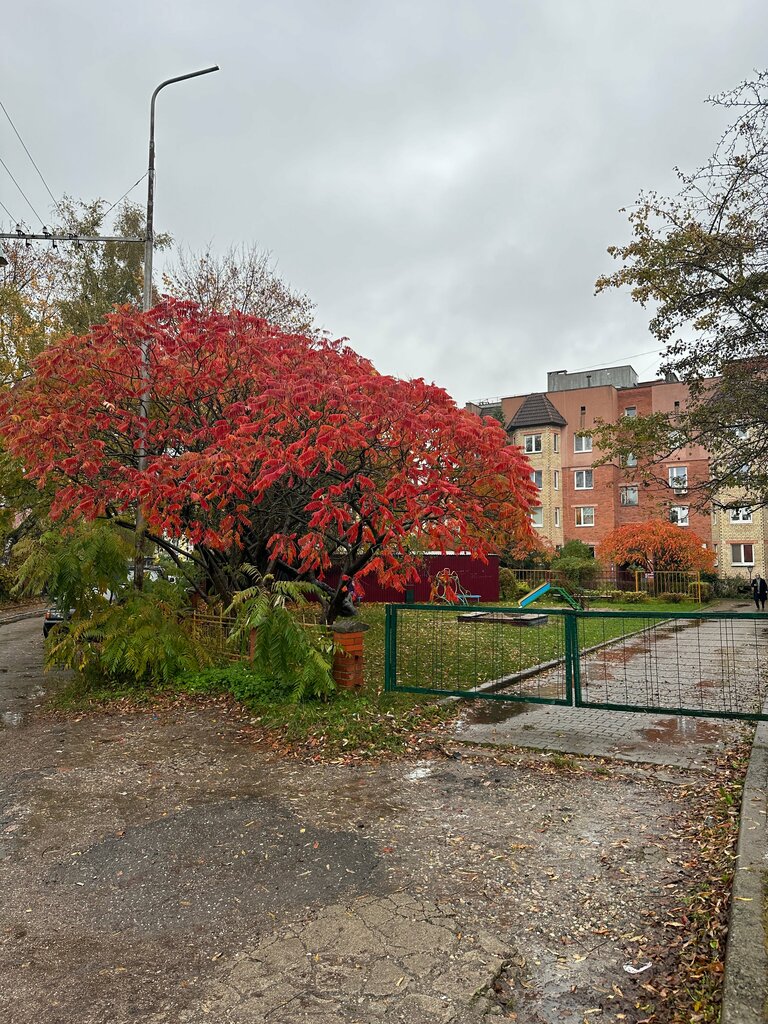 Sağlık merkezleri Rtbalance Калининград, Kaliningrad, foto