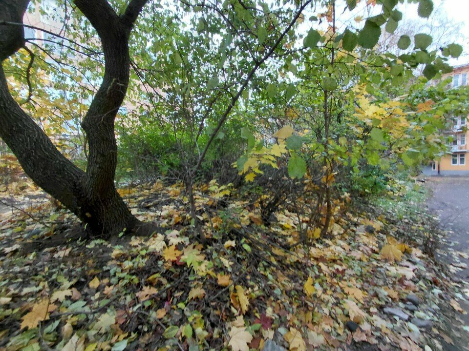 Kültür ve eğlence parkları Polevoy Square, Petrozavodsk, foto
