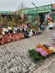 Садовая Империя 61 (Osobennaya Street No:144/15), sera ve bahçe ürünleri  Rostov‑na‑Donu'dan