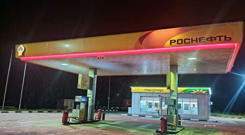 Benzin istasyonu Rosneft, Penzenskaya oblastı, foto