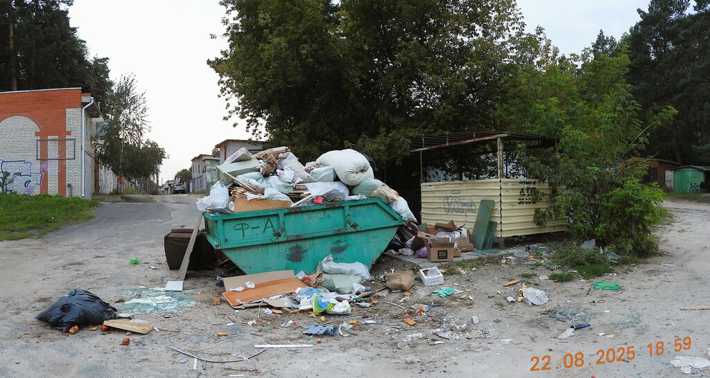 Çöp alanları Trash and garbage disposal area, Zarechny, foto