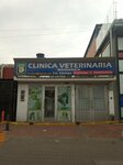 Clinica Bonanza (Bogotá, Calle 80 Avenue, 69Q-79), ortaokul