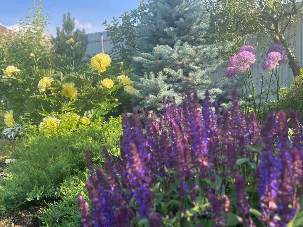Peyzaj tasarımı AlKate Garden, Kazan, foto