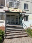 Avocat (Dacia Boulevard No:5), avukatlar  Kişinev'den